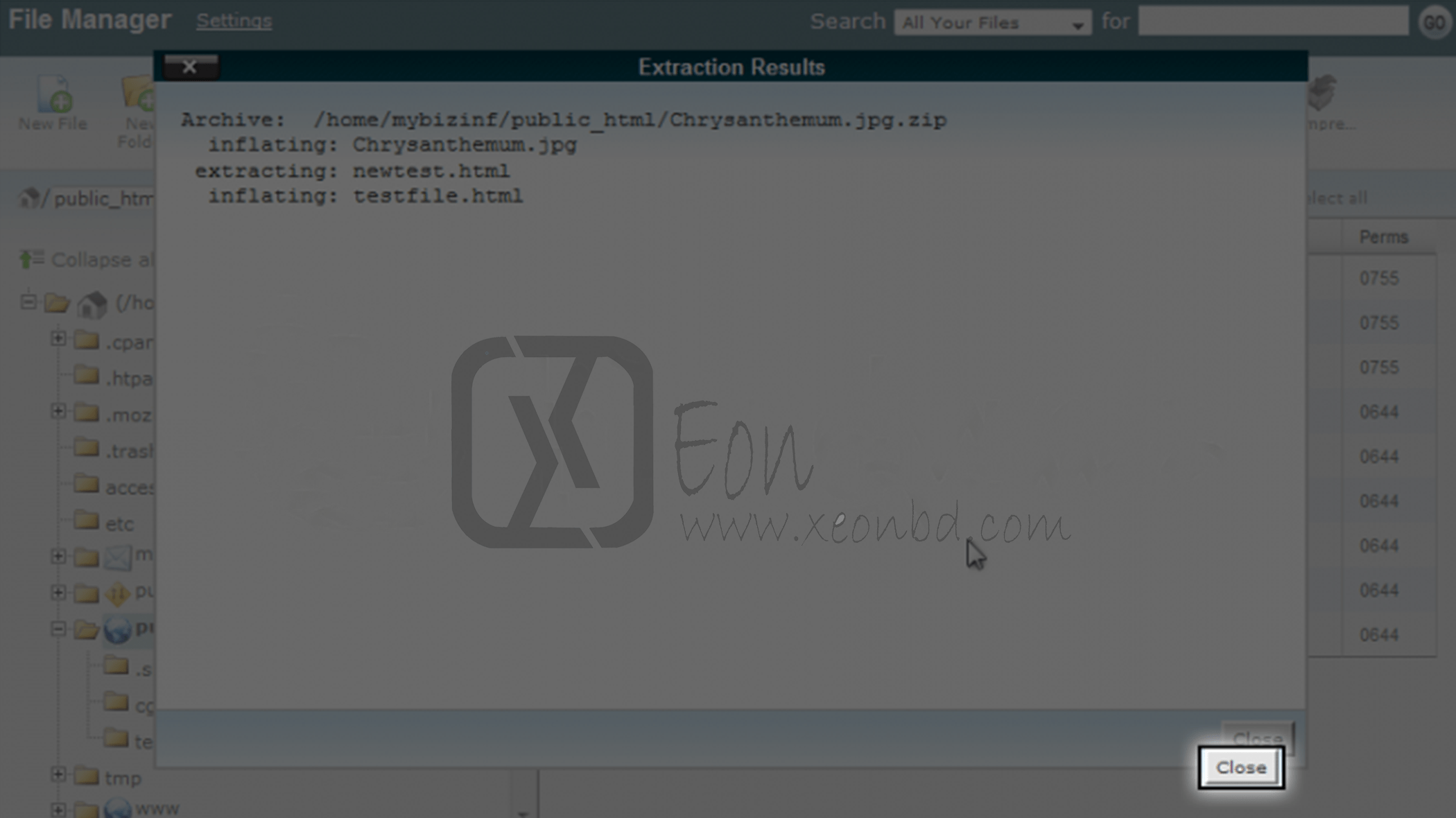How To Zip and Unzip Files in File Manager of cPanel - XeonBD